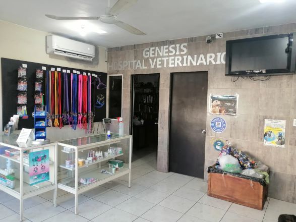 Las 12 mejores Veterinarias en San Nicolás [abiertas 24h]