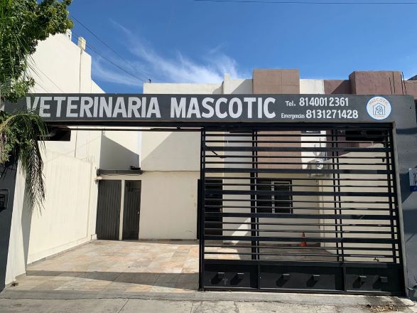 Las 12 mejores Veterinarias en San Nicolás [abiertas 24h]