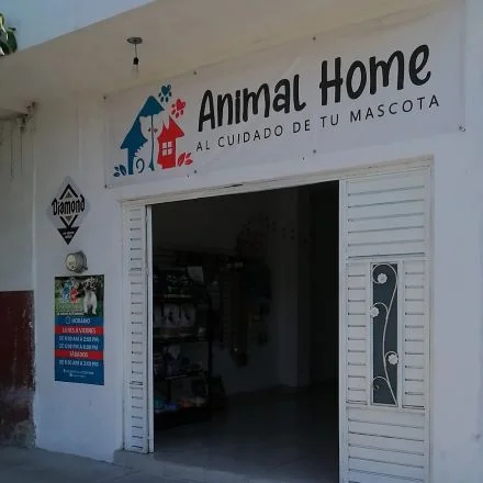 Las 12 mejores Veterinarias en Colima [abiertas 24h]