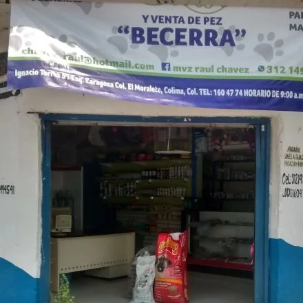 Las 12 mejores Veterinarias en Colima [abiertas 24h]