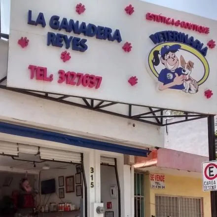 Las 12 mejores Veterinarias en Colima [abiertas 24h]