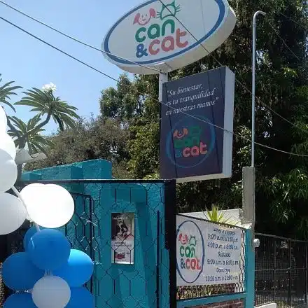 Las 12 mejores Veterinarias en Colima [abiertas 24h]