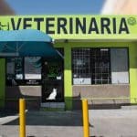 Las 12 mejores Veterinarias en Cd Juárez [abiertas 24h]