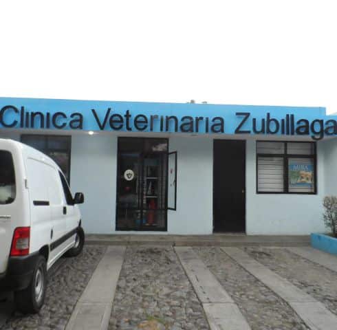 Las 12 mejores Veterinarias en Colima [abiertas 24h]