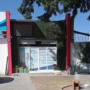 Las 12 mejores veterinarias en Toluca de Lerdo